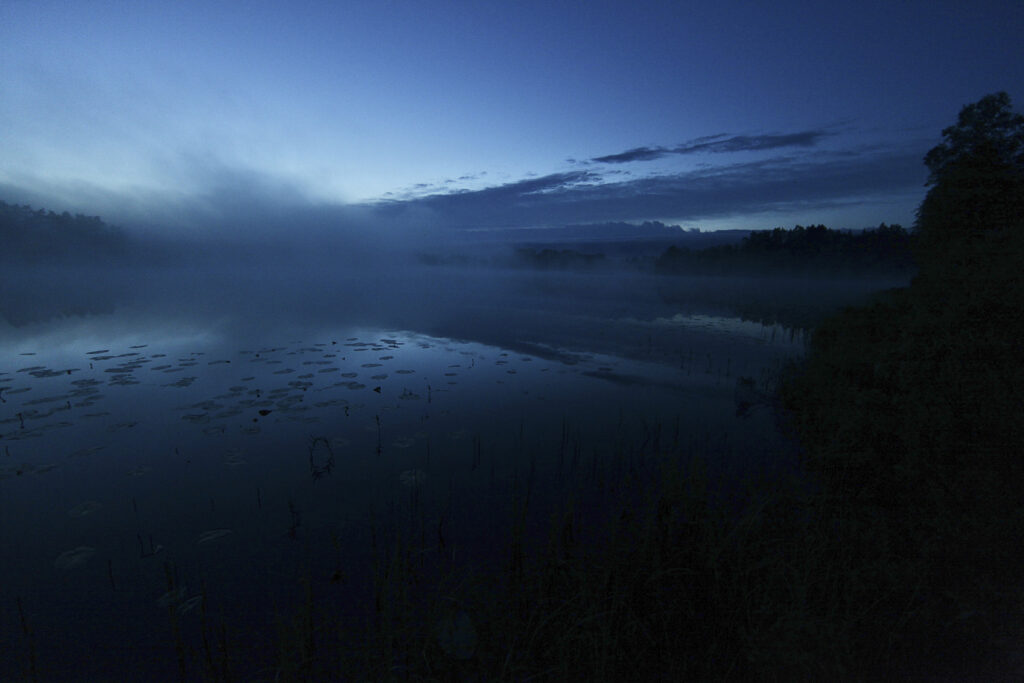 DAN LAUSTSEN - IN THE GALLERY